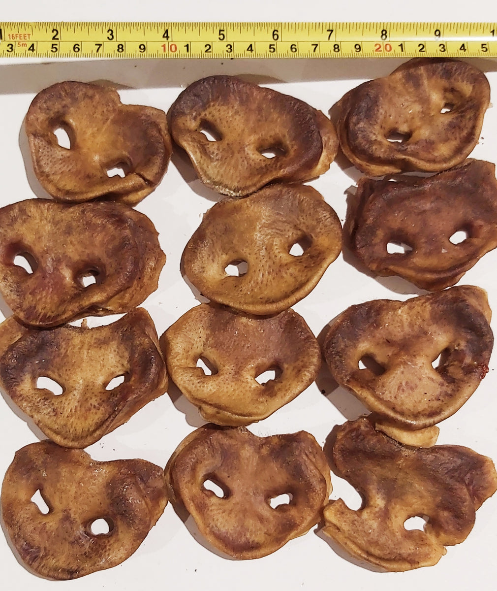 PIG SNOUTS PUFFED SMOKED 10 to 100 HEALTHY AUST PORK SNOUT DOG TREAT F ...