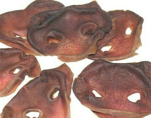 PIG SNOUTS 100 NATURAL HEALTHY AUST PORK SNOUT DOG TREAT- Free Post ...